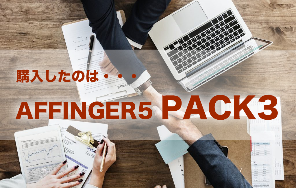 【AFFINGER5 EX 使用中】購入前に要確認！アフィンガー5の注意点 - プラテツ