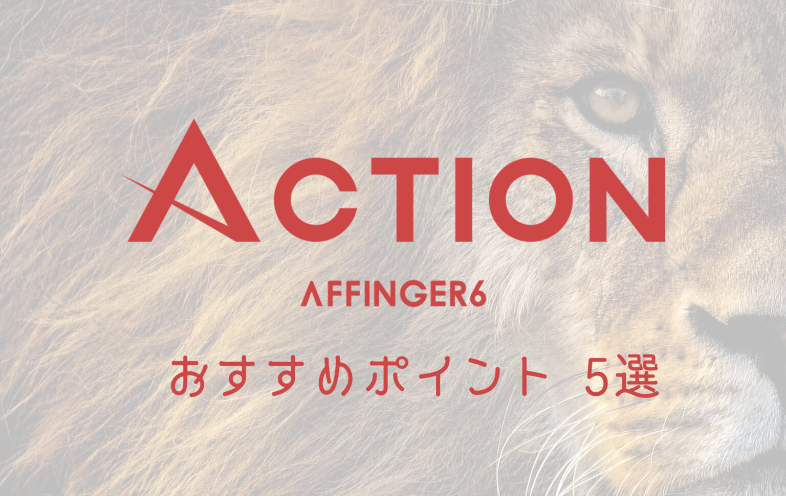 【AFFINGER6 EX 使用中】購入前に要確認！ACTIONの注意点 - プラテツ
